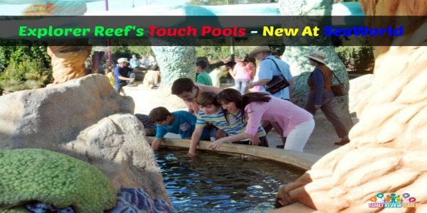 Explorer's Reef - SeaWorlds newest exhibit featuring four touch pools