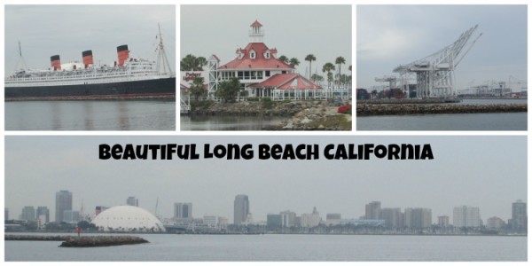 Whale Watching with Harbor Breeze Cruises - Family Review Guide