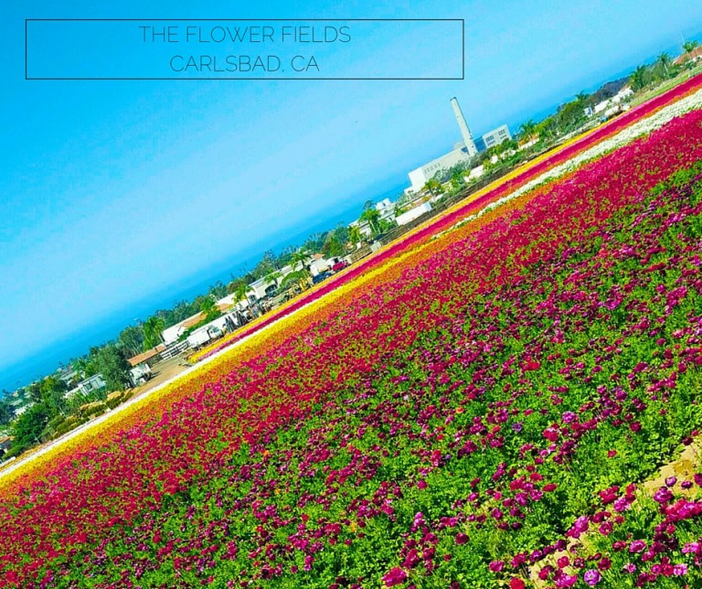 Carlsbad Creates a Season of Savings with a Breathtaking Backdrop