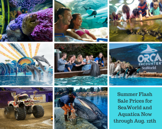 Summer Flash Sale Prices for SeaWorld and Aquatica - Family Review Guide