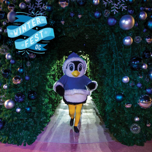 Three Must See Attractions at Winterfest OC - Family Review Guide