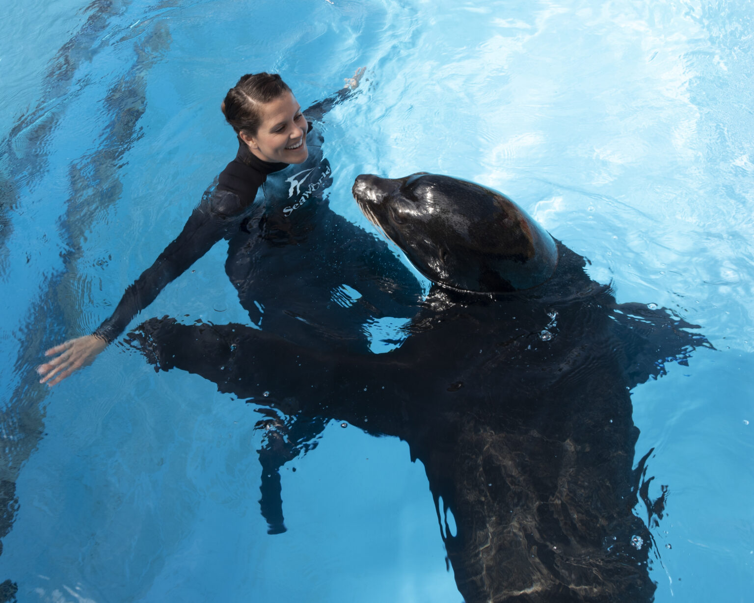 New Outdoor Food and Animal Experience - Seaworld San Diego - Family ...