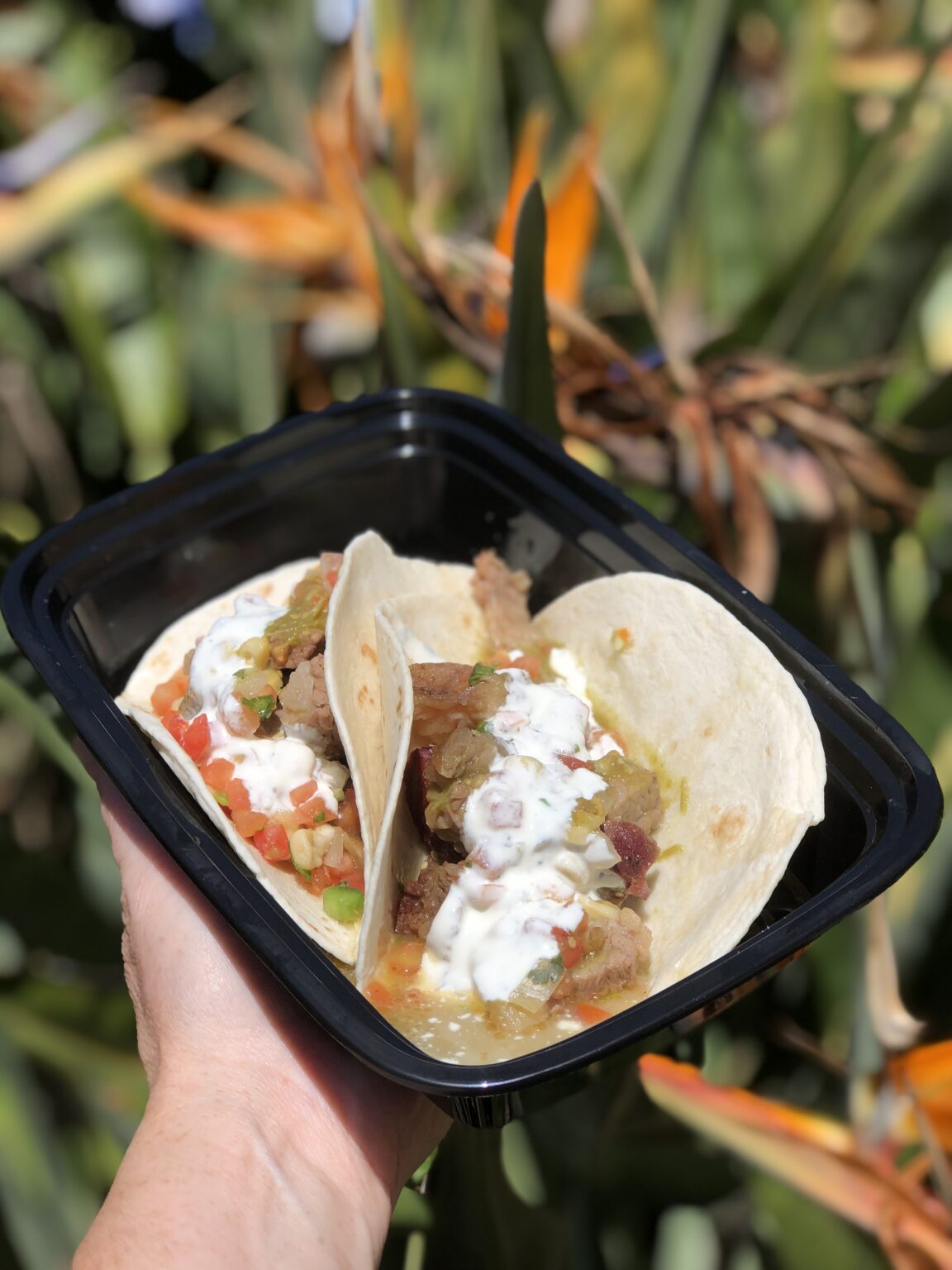 Family Guide To Seven Seas Food Festival - Family Review Guide