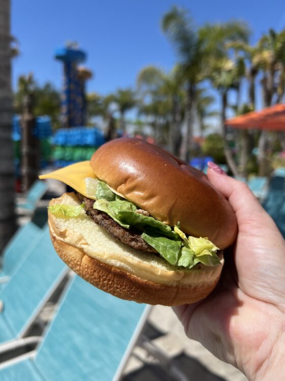 Family Guide To Sesame Place San Diego - Family Review Guide