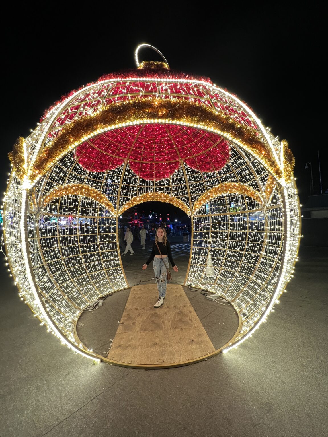 Three Must See Attractions at Winterfest OC - Family Review Guide