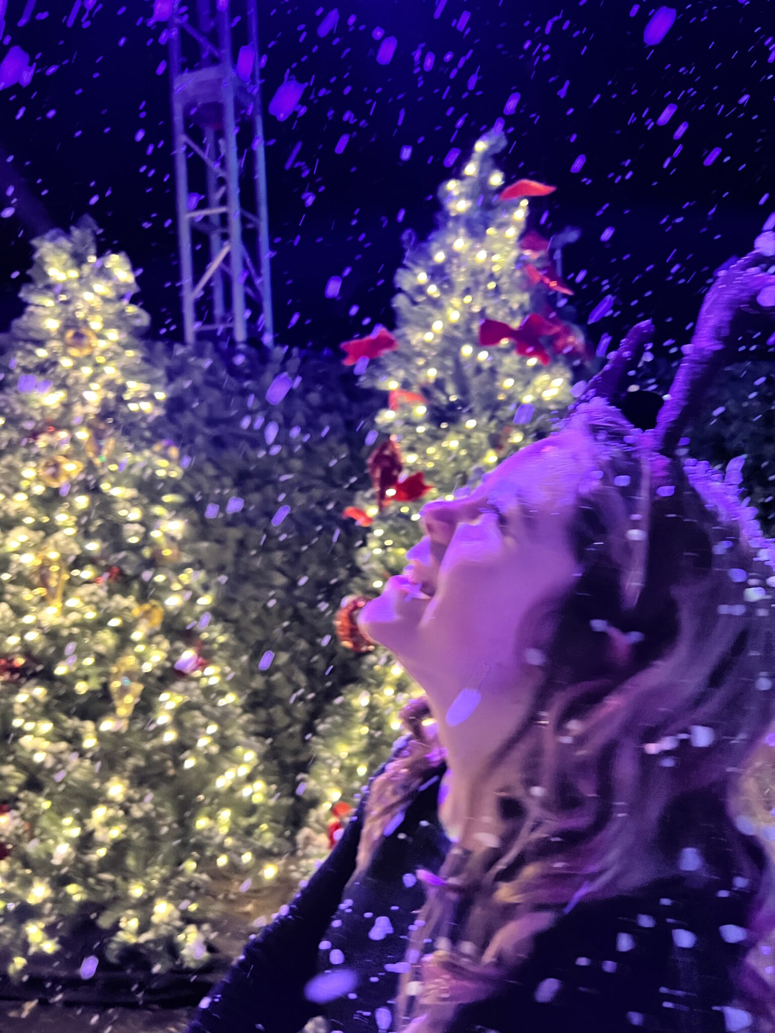 Three Must See Attractions at Winterfest OC - Family Review Guide