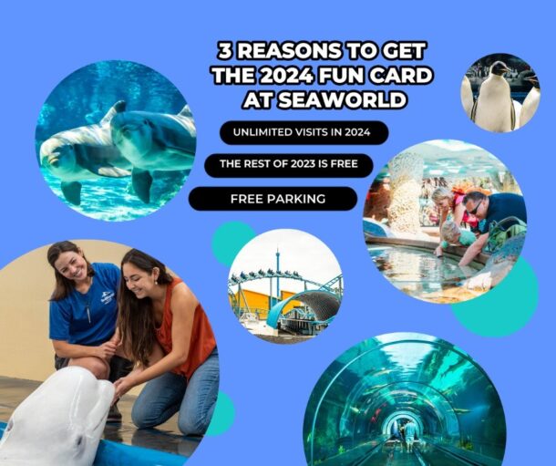 3 Reasons To Get The 2024 Fun Card At SeaWorld - Family Review Guide