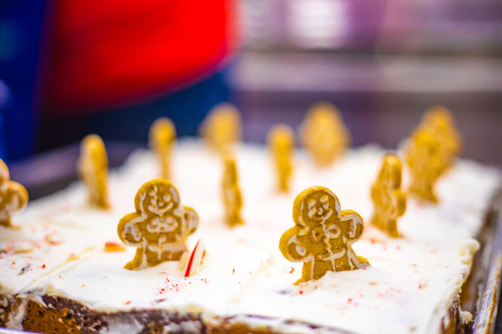 Winter Fest OC 2024 - Family Review Guide