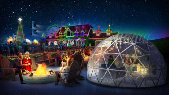 Winter Fest OC 2024 - Family Review Guide